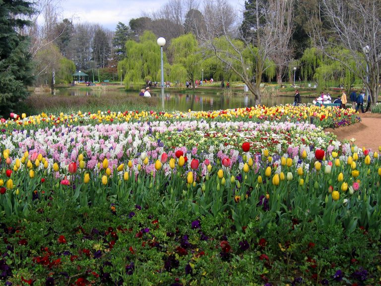 Floriade | Canberra Flower Festival | Floriade Canberra | Floriade ...