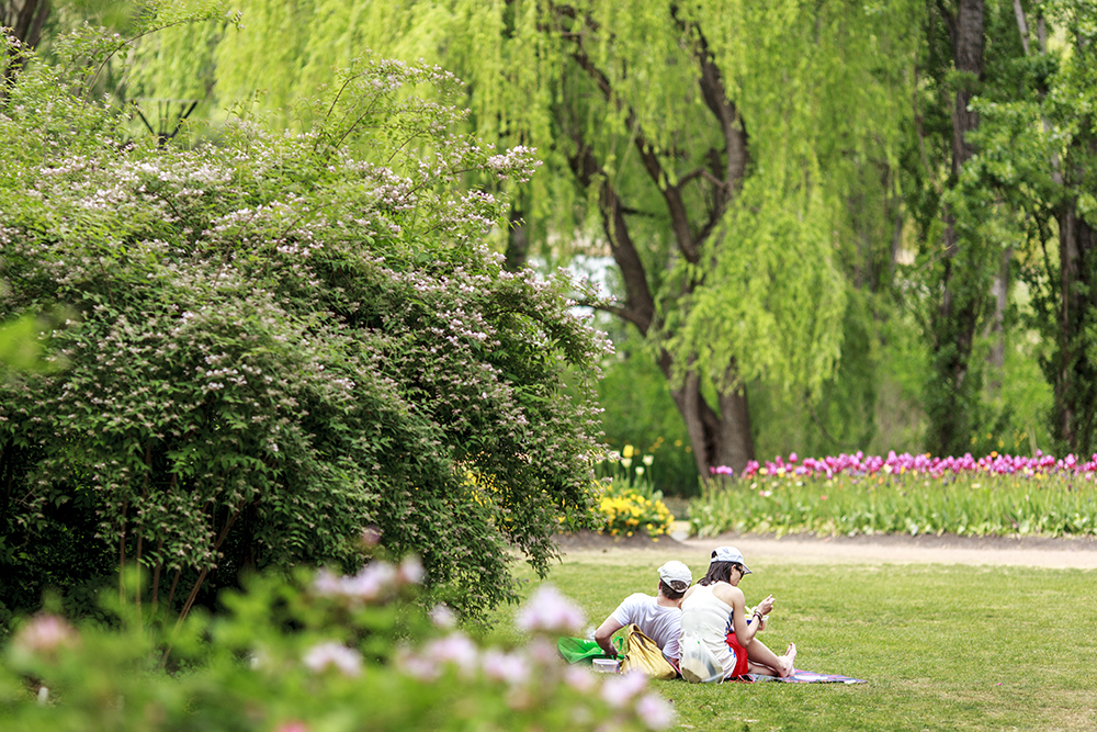 Floriade | Canberra Flower Festival | Floriade Canberra | Floriade ...